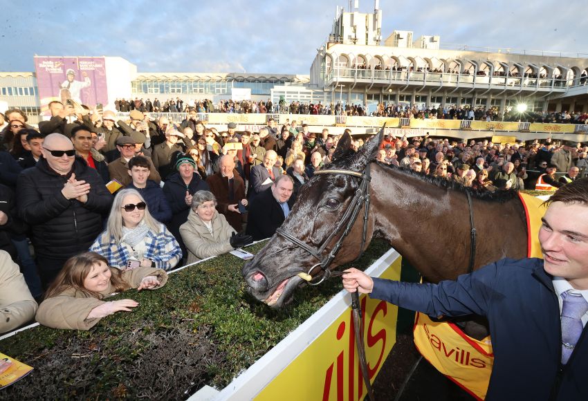 Horse Racing Ireland Press Office | Horse Racing Ireland