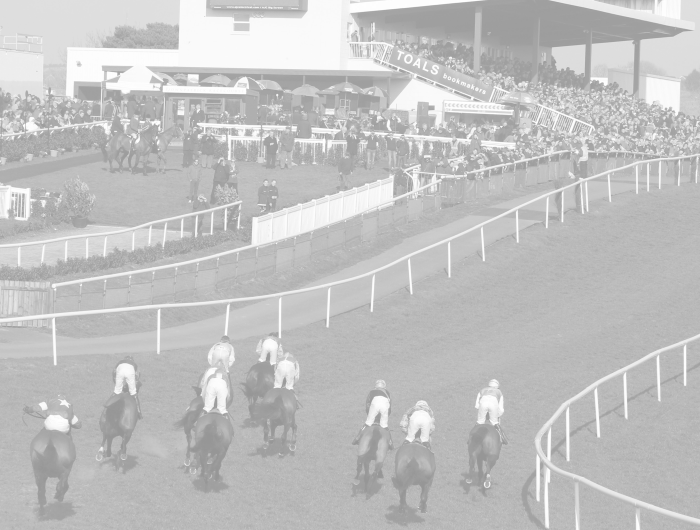Home | Horse Racing Ireland