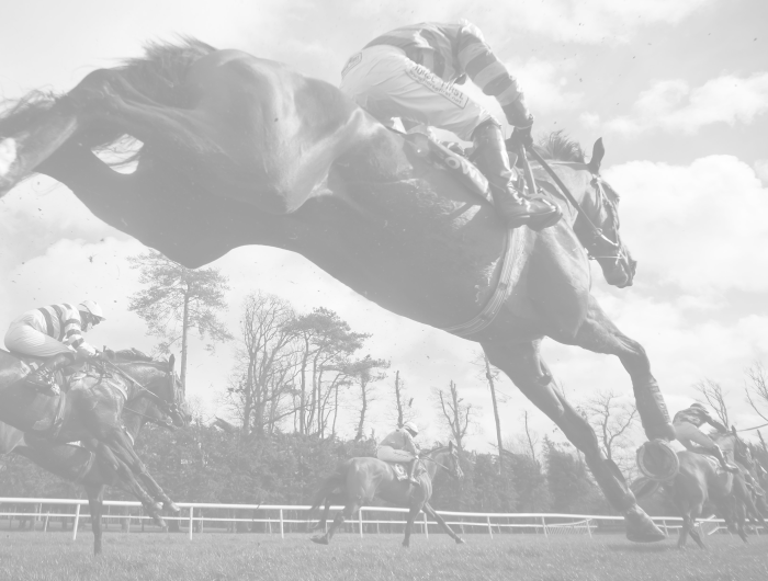 Home | Horse Racing Ireland