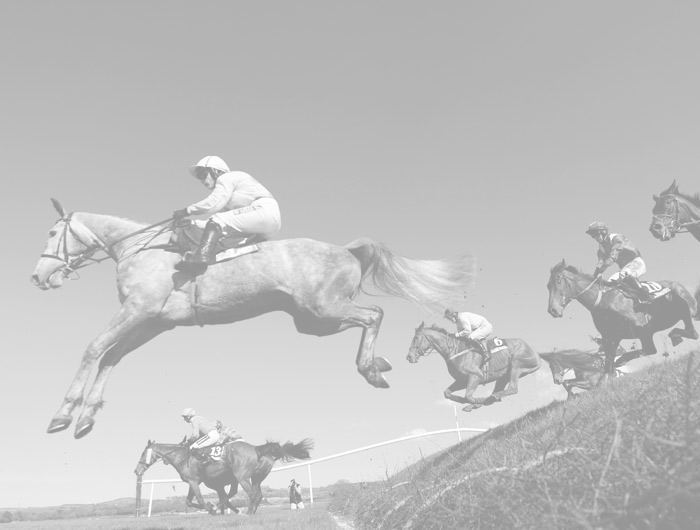 Home | Horse Racing Ireland