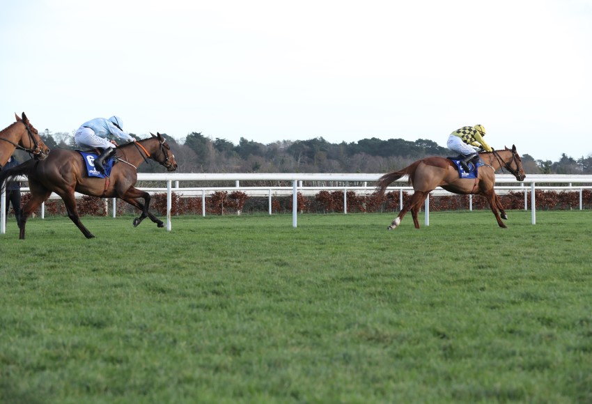 Horse Racing Ireland Press Office | Horse Racing Ireland