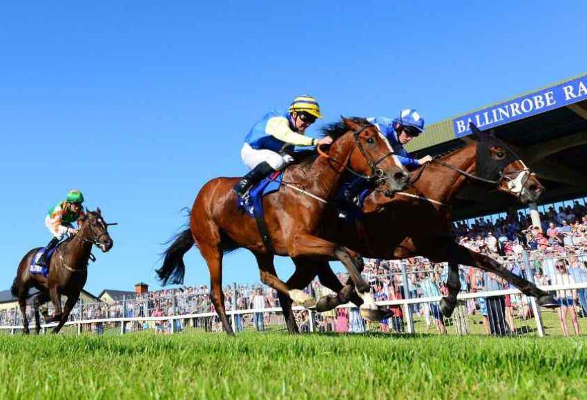 Horse Racing Ireland Award Nominees | Horse Racing Ireland