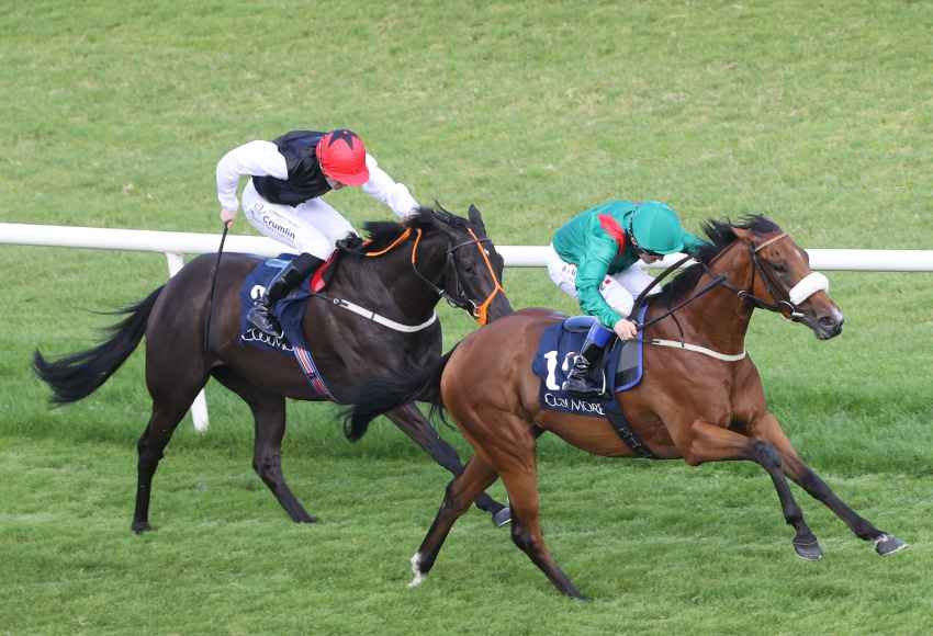 Horse Racing Ireland Award Nominees | Horse Racing Ireland