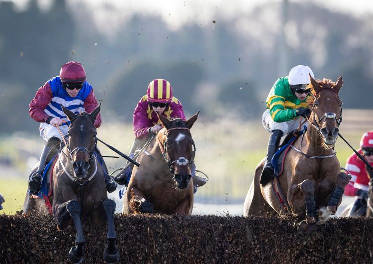 Festivals and Events | Horse Racing Ireland