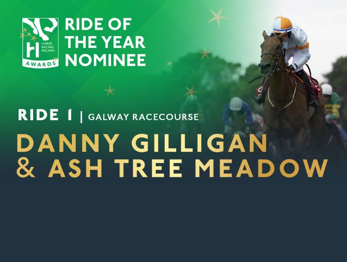 Horse Racing Ireland Awards | Horse Racing Ireland