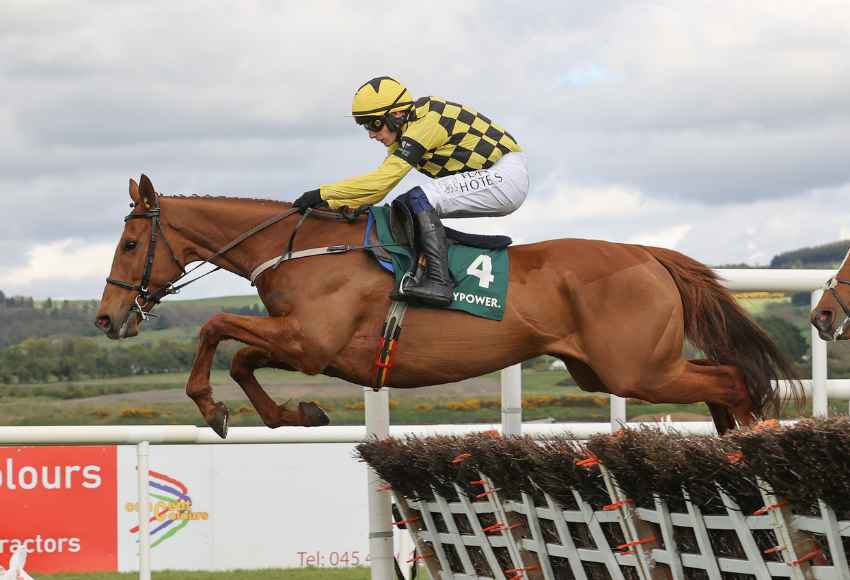 Horse Racing Ireland Award Nominees | Horse Racing Ireland