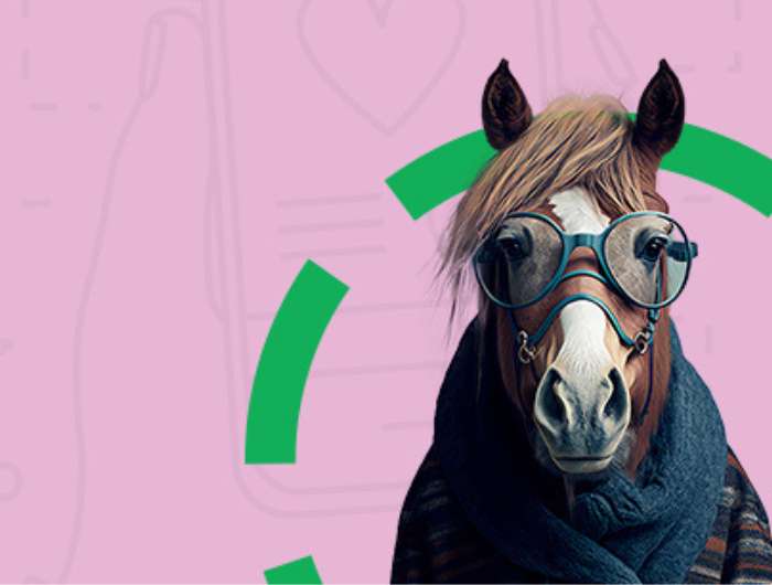 Home | Horse Racing Ireland