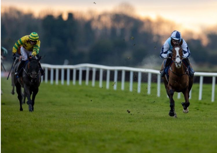 Jumps Racing Festivals | Horse Racing Ireland